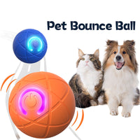 Shop Now – IPawsPlus