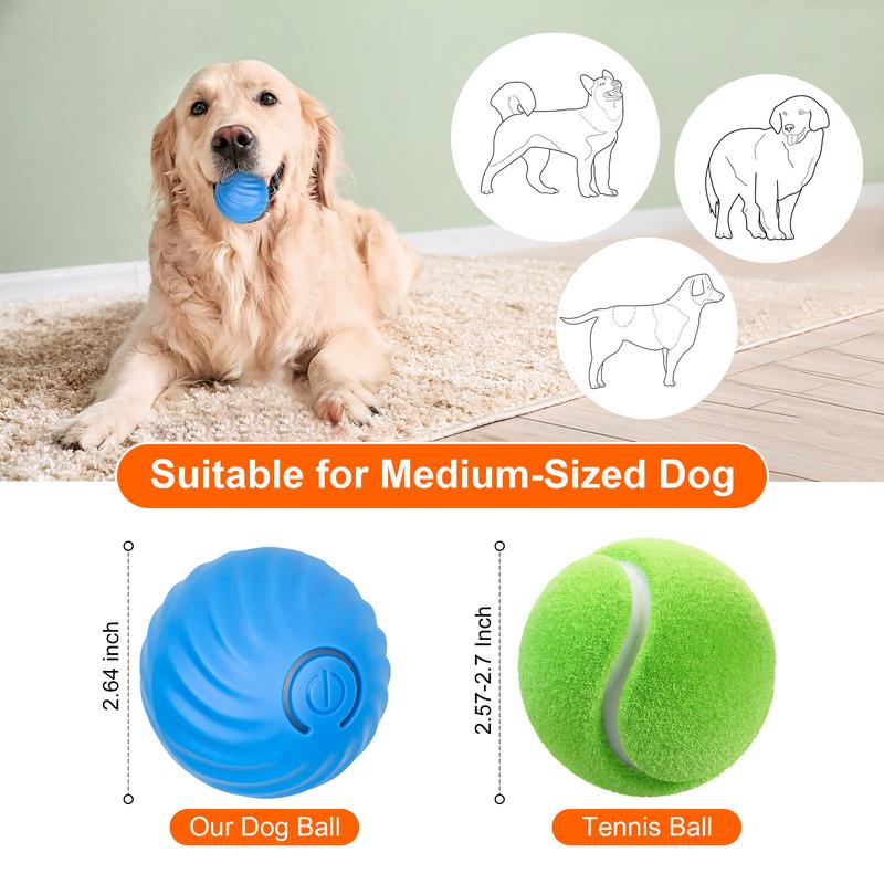 Shop Now – IPawsPlus