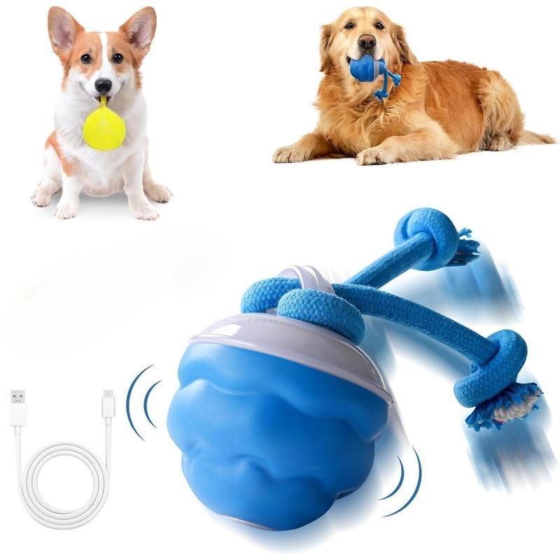 Toys – IPawsPlus